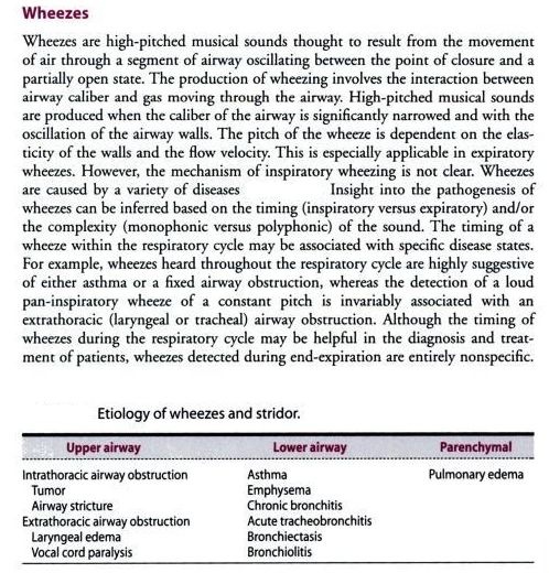 Medicine Decoded: Breath sounds made easy.